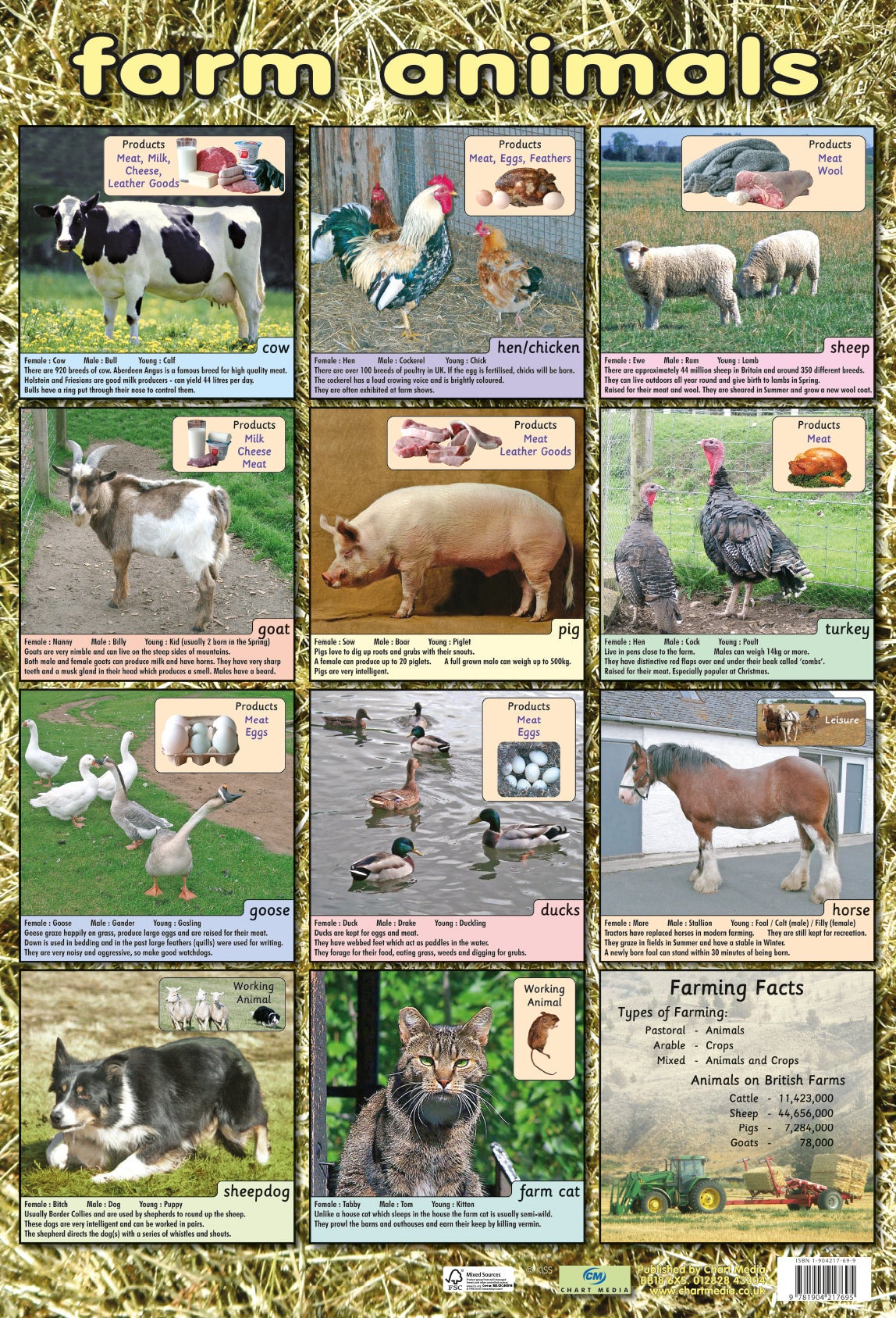 common farm animals