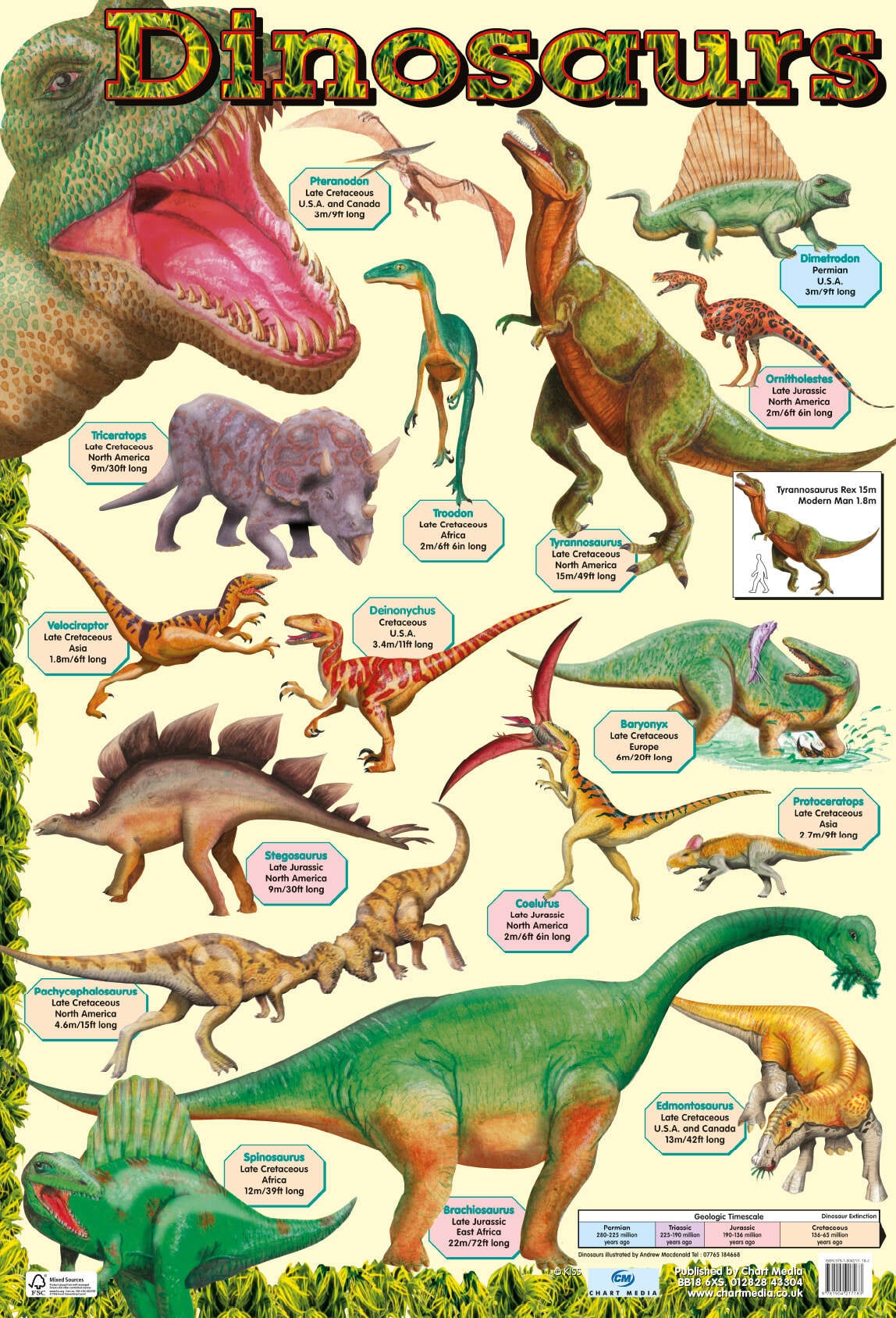 Dinosaur Chart
