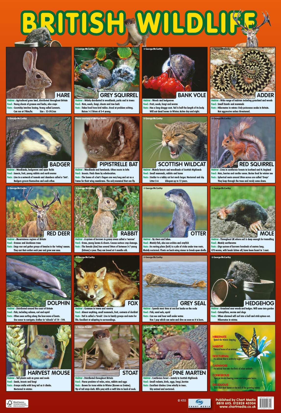 Carnivorous Animals Chart